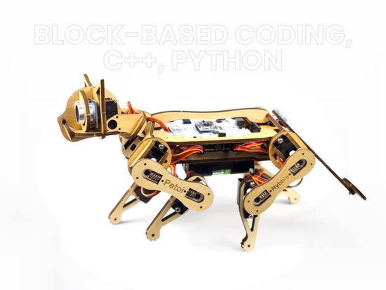 Robot Cat Nybble - Petoi |Programmable Open Source Robot Cat
