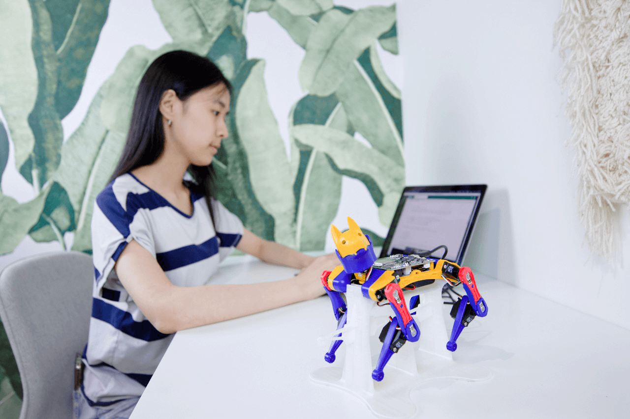 Robo Dog Bittle X with Optional Robotic Arm Gripper – Petoi