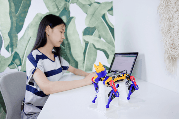 Robot Dog Bittle X | Petoi LLC