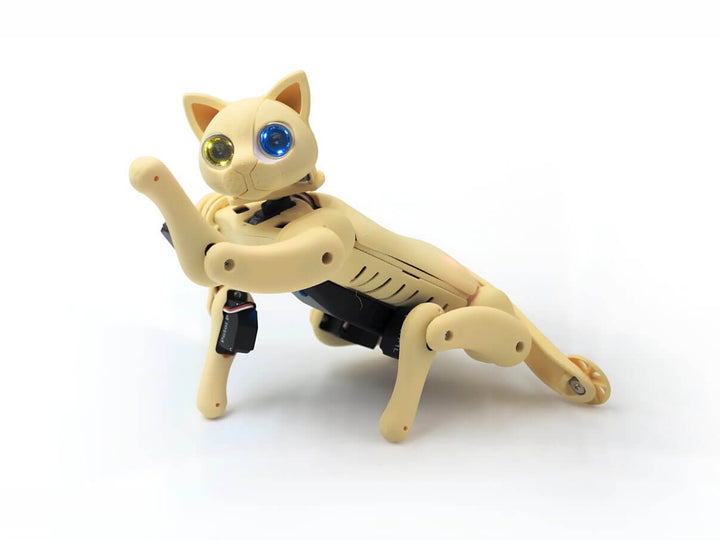 How to Build a Robot | Easy Guide for Beginners – Petoi