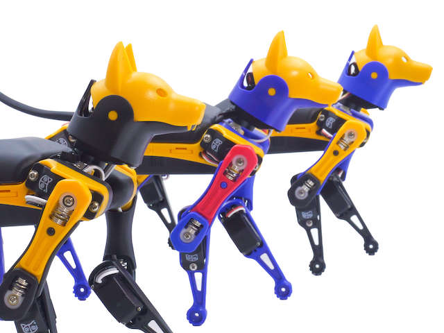 Explore Intelligent and Smart Robot Dog Bittle Models | Petoi